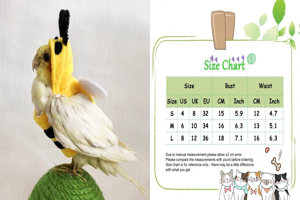 Bird Clothes Costume Fun Parrot Outfit Colorful Bee Hoodie Bird Costume ...