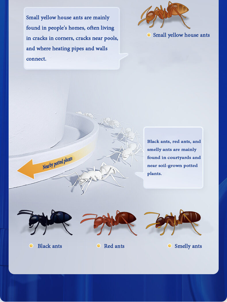 Kill ants within 100mWB Ants killer bait Ant killer Ant repellent 10g ...