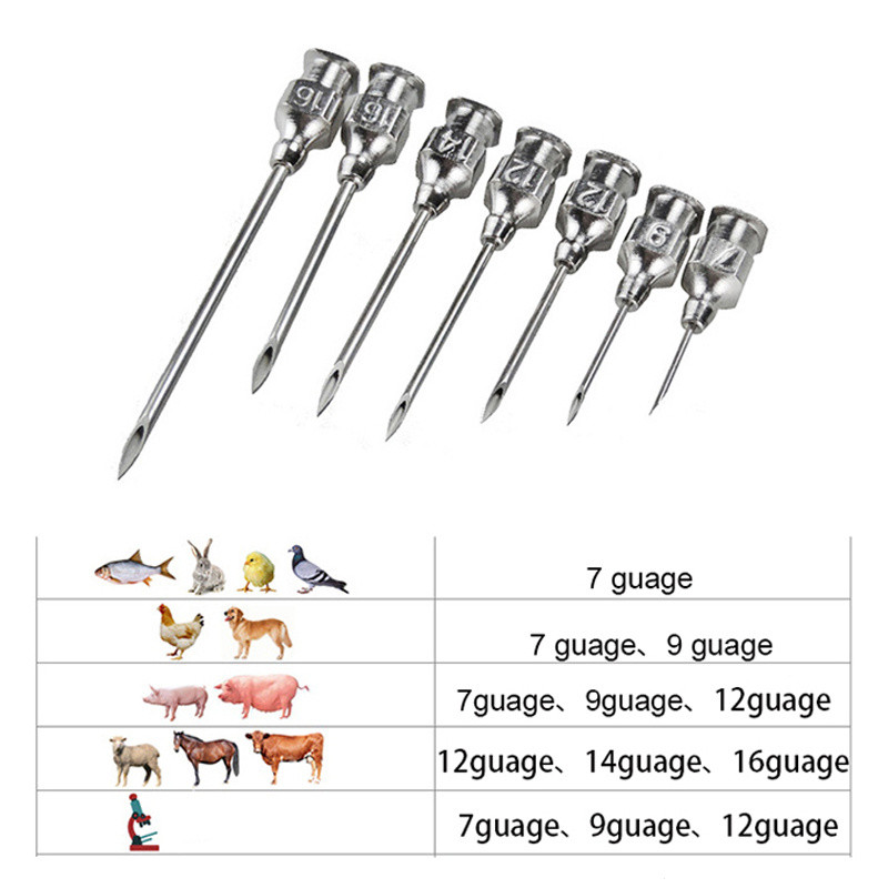 1 Dozen Assorted Sizes Stainless Steel Veterinary Needles Reusable ...