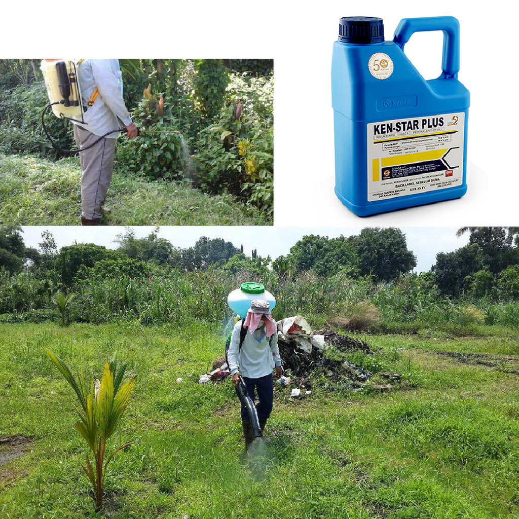 M Mall WATER PRESSURE SPRAYER PUMP HAND TOOLS MULTI KNAPSACK PLASTIC ...