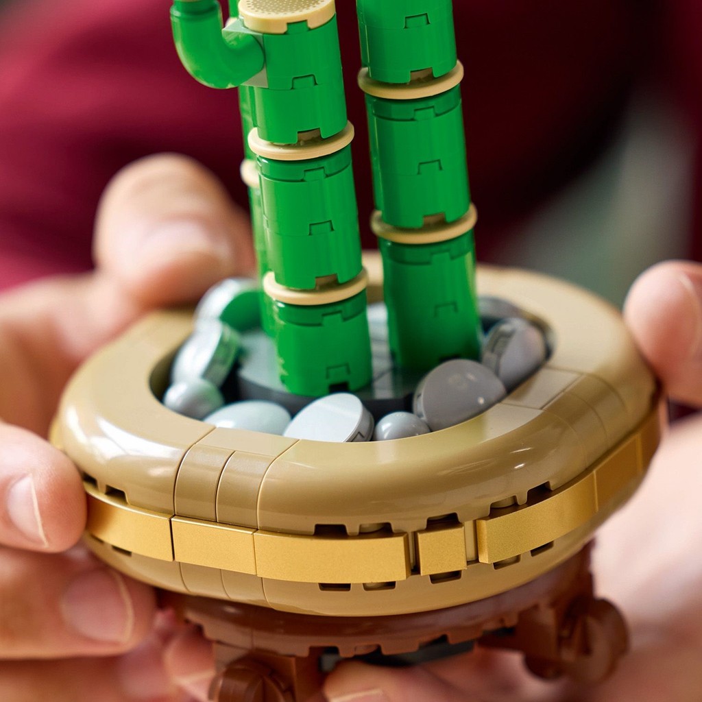 LEGO 10344 Botanicals Icons Lucky Bamboo Building Set (325 Pieces ...