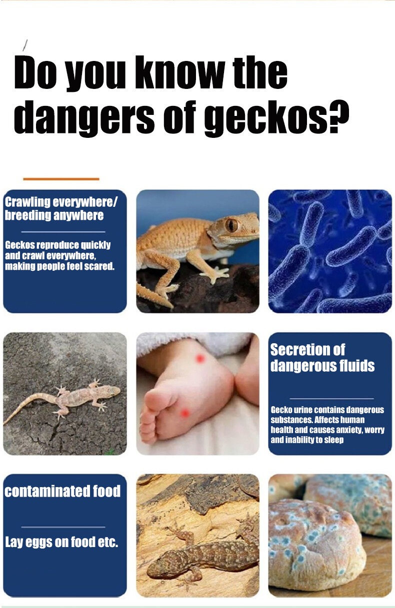 [Ready Stock]100g Insect Repellent Insecticide Powder Anti Cockroach ...