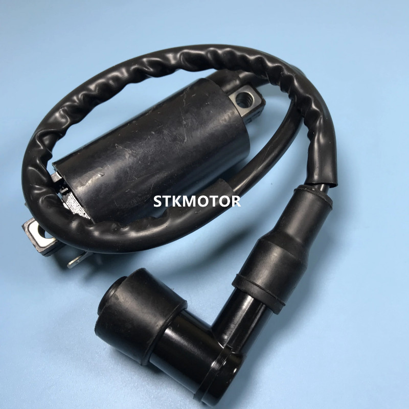 LH250 YP250 250 260 ATV Quad Motorcycle Ignition Coil For Yamaha VIRAGO ...
