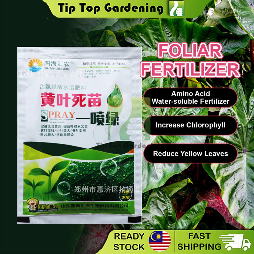 Foliar Fertilizer 30g Amino Acid Water Soluble Fertilizer Promote Green Leaves Baja Larut Air ...
