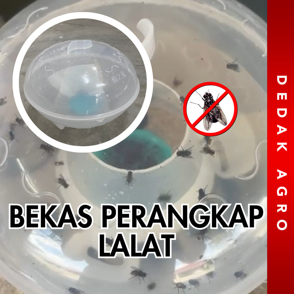 BEKAS PERANGKAP LALAT | FLY TRAP CONTAINER | Shopee Malaysia