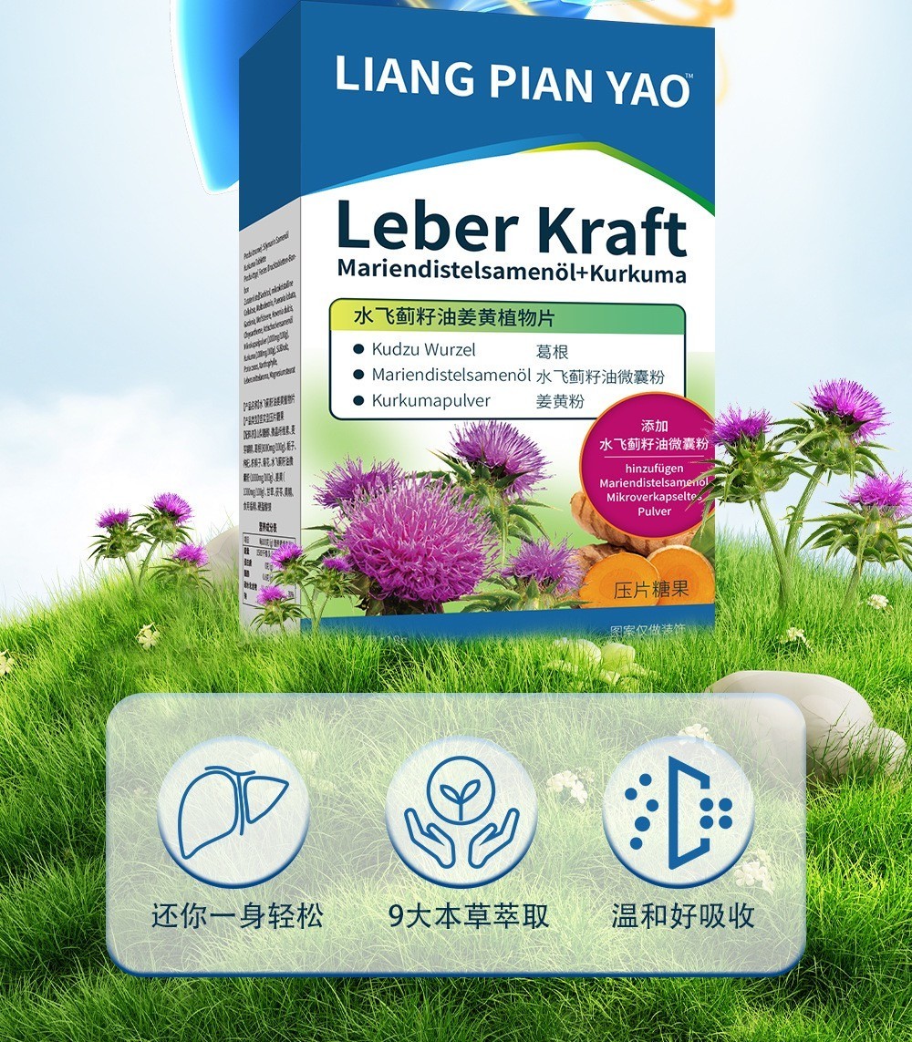 Leber Kraft Protecting Liver Tablets Milk Thistle Seed Oil Turmeric ...