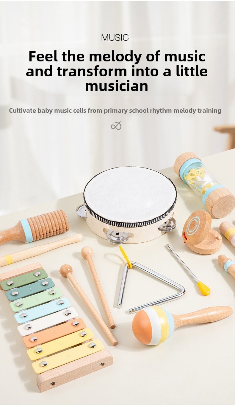 Baby Musical Instruments-Montessori Wooden Toys for Toddlers 1-3 ...
