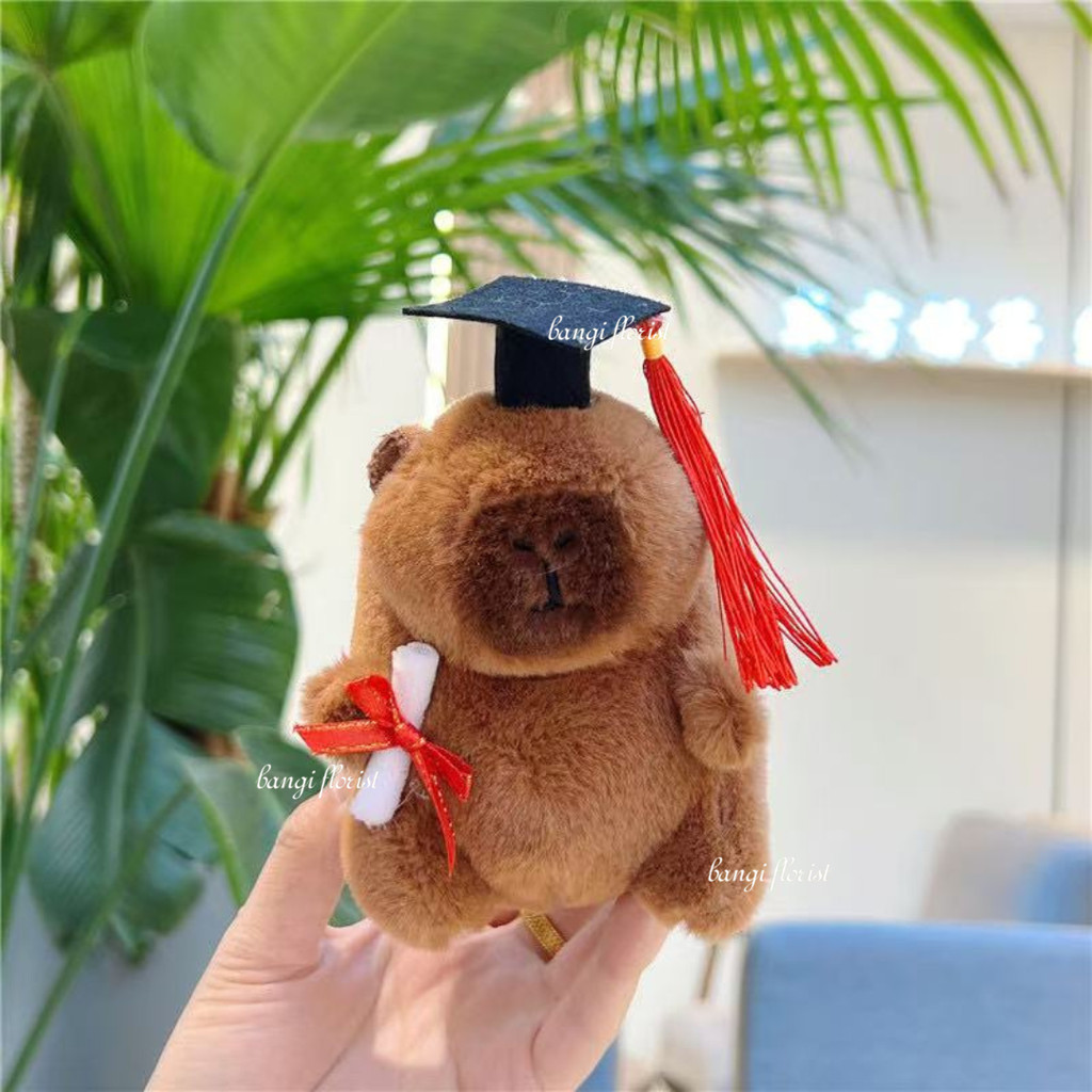13cm CAPYBARA GRADUATION BEAR Plush Toy Cute Capibara Plushie Toy Anak ...