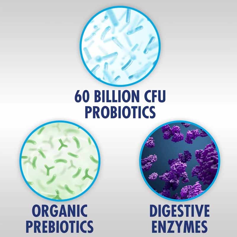 Probiotic supplements balance cholesterol levels support digestive ...