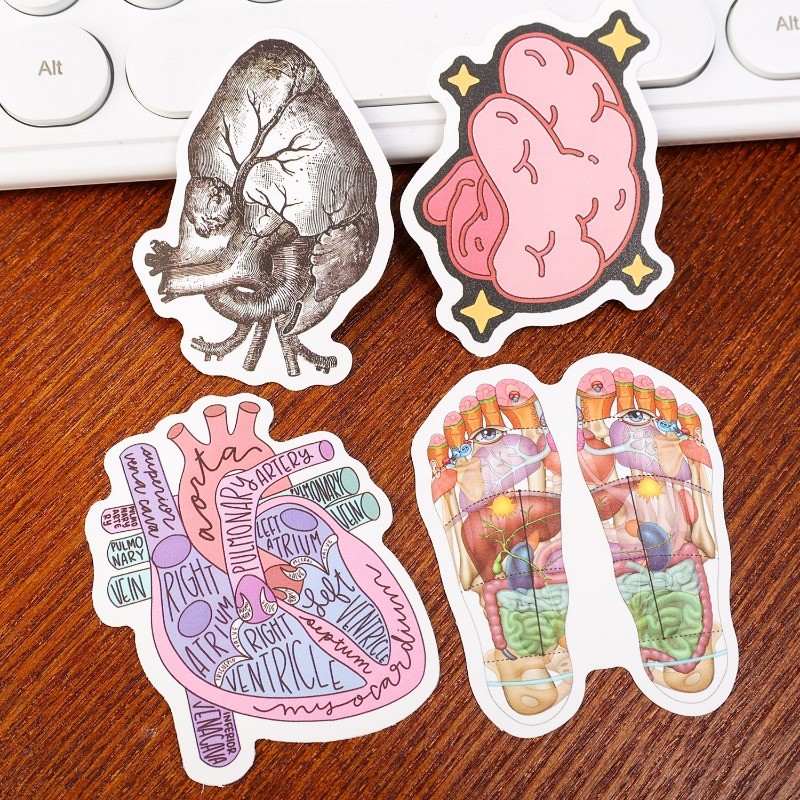 53Pcs/Set Creative Anatomy-themed Stickers DIY Human Anatomy Pattern ...
