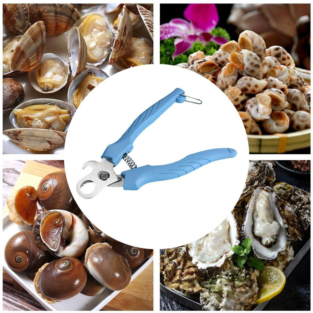 Oyster Cutting Field Snail Butt Artifact Not Slip Field Lion Tail ...