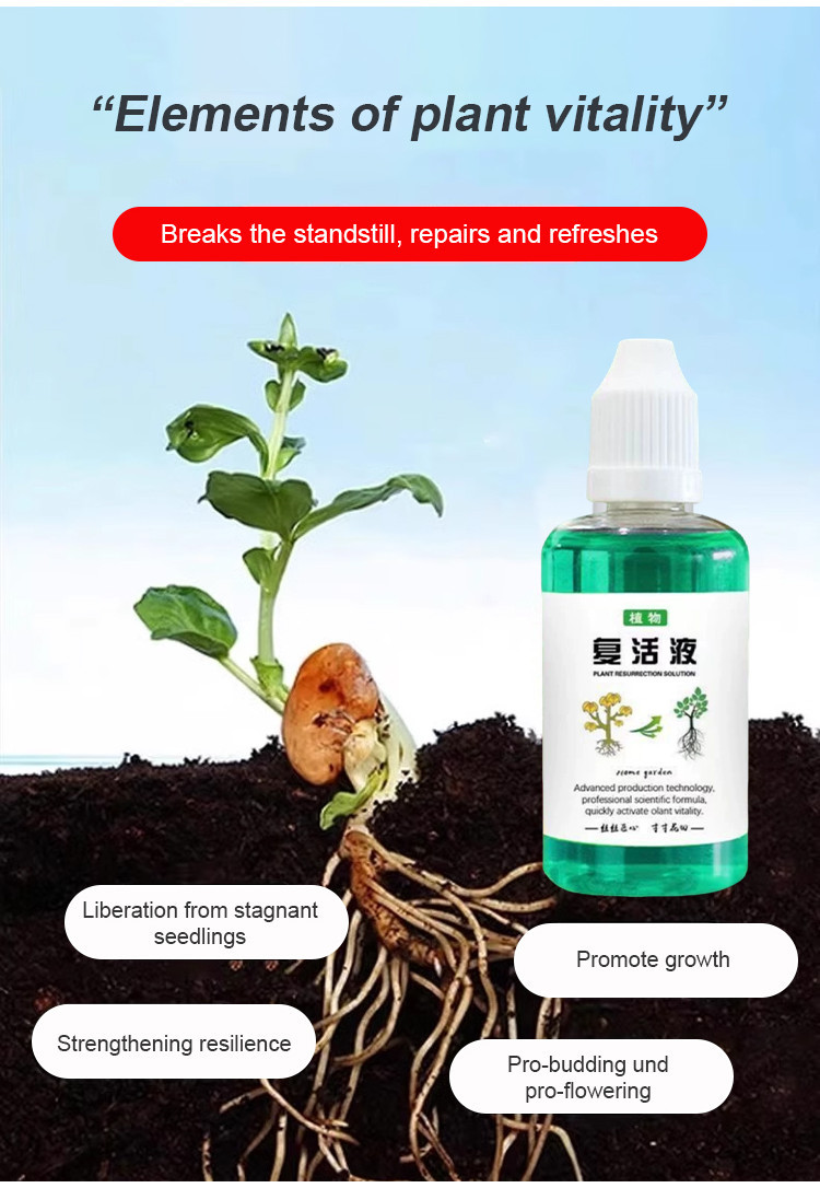 Rapid Grower Resurrection active solution for yellowing plants | Shopee ...