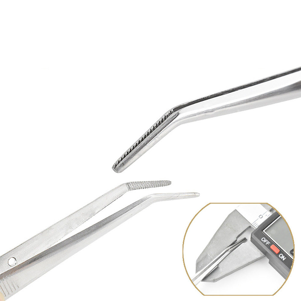 5pcs Dental Cotton Tweezers Cotton Roll Filling Clip Stainless Steel ...