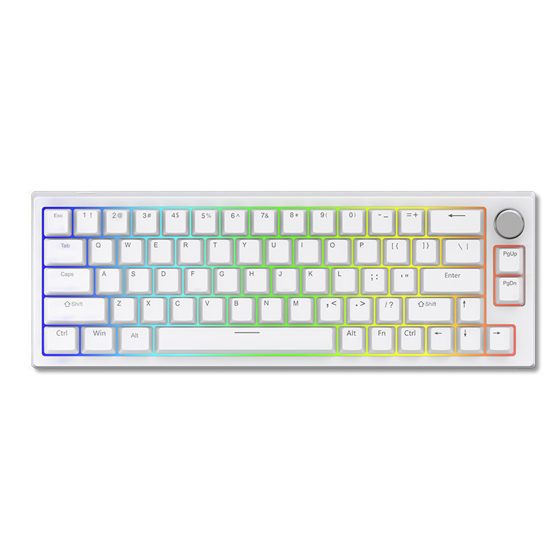 Lychee Gaming 2024! G66-M Wired RGB Magnectic Switch Rapid Trigger Hot ...