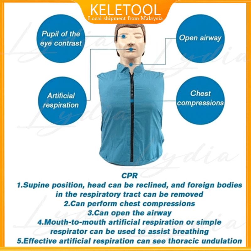 patung cpr manikin Half Body Adult CPRManikin Model Human CPR ...