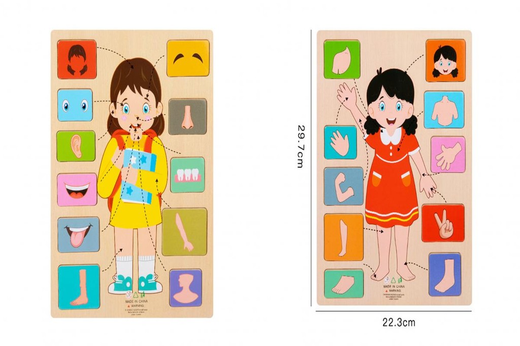 Cocoblue Body Learning Puzzle Wooden Body Puzzle Wooden Body Puzzle ...