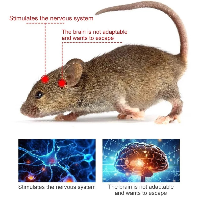 Long-Lasting Effect 100% Expel Insects/Rats/Ants - Strong Mothballs Rat ...