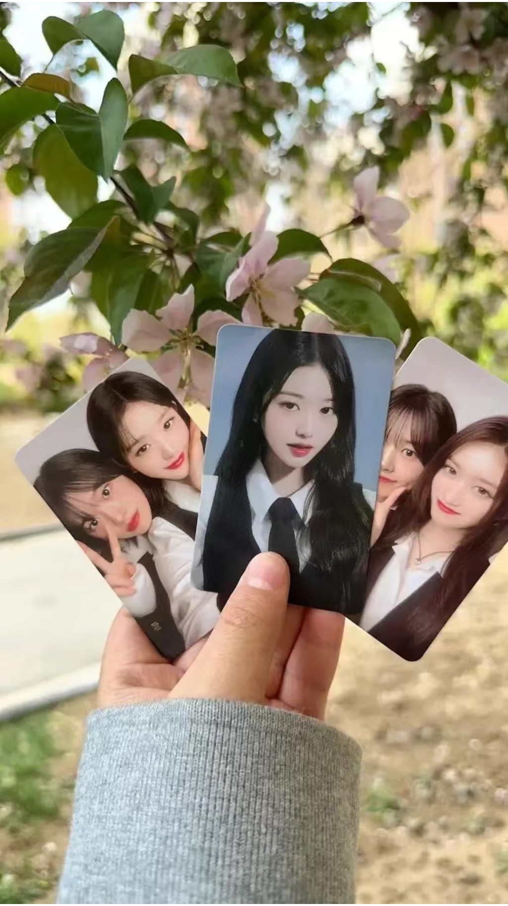 3pcs KPOP Idol Ive Seoul Concert "Show What I Have" Photocard Pack ...