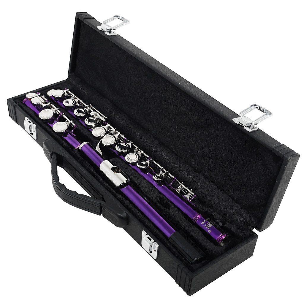 SLADE 16 Closed Open Holes C Key Flute Musical Instrument Concert Flute ...