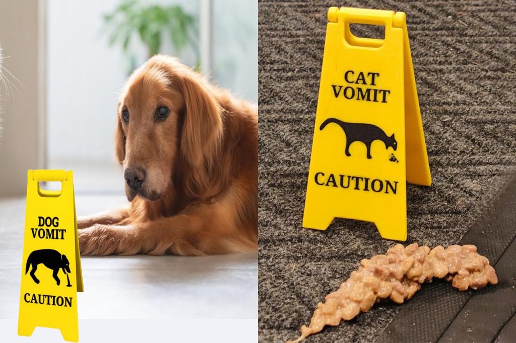 Vomiting Warning Sign Garden Cat Vomit Sign Pet Vomit Caution Sign for ...