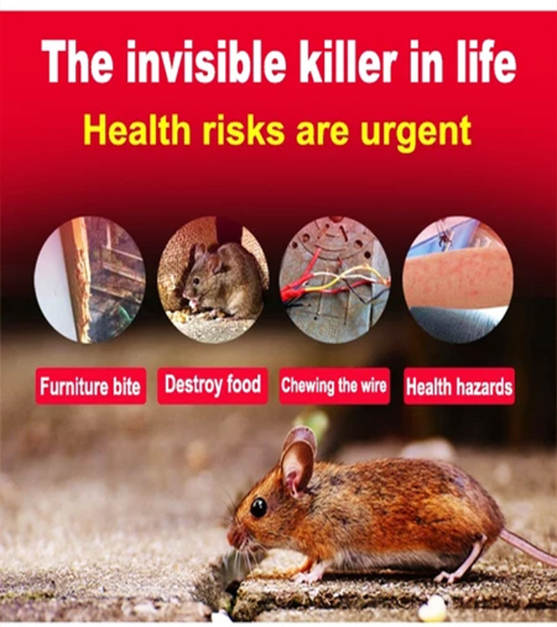 100 years without rats Racun tikus paling kuat 150g buy 1 get 2 Racun ...