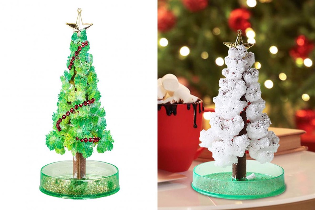 bangla| Magic Grow Tree Crystal Growing Kit Diy Magic Growing Crystal ...