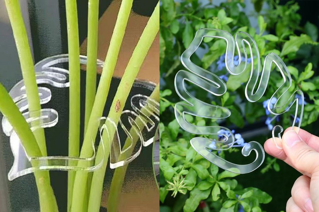 tuingzh Acrylic Plant Support Plant Growth Management Tool Acrylic ...