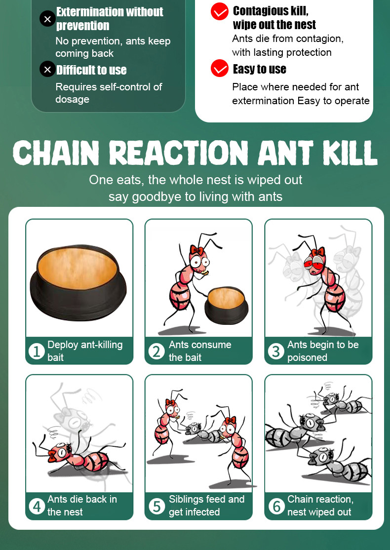 【20 years without ants】Ant killer 8pcs/box Ant poison Ubat semut ...