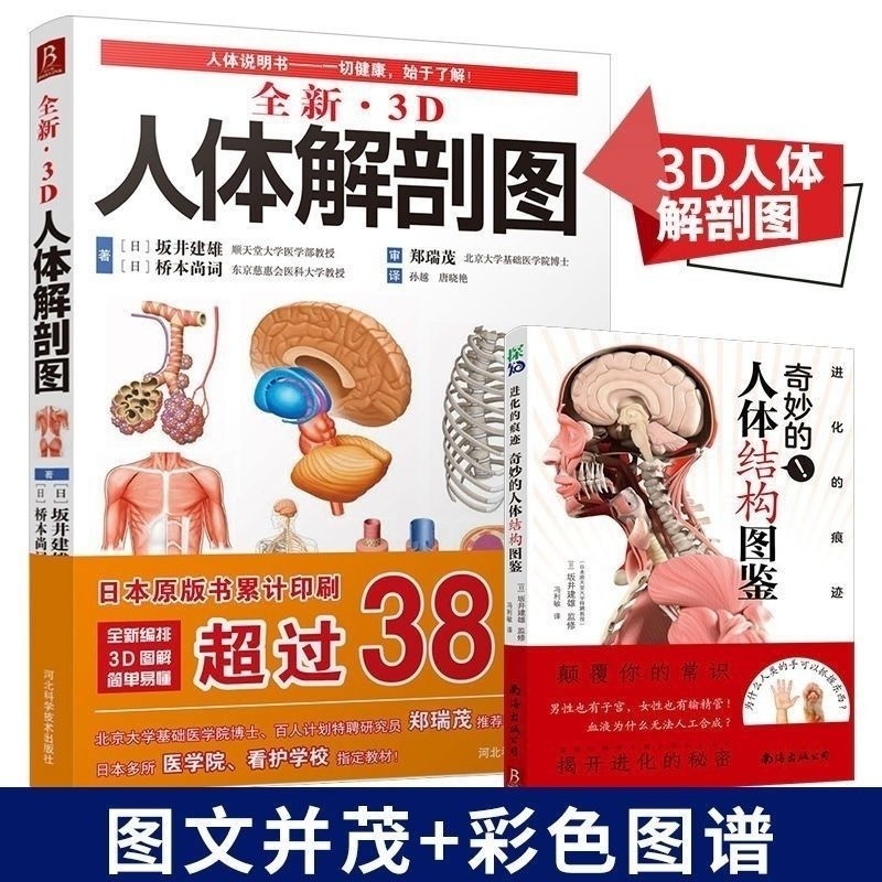 Brand New 3D Ergonomic Anatomical Map Ergonomic Muscle Anatomy Exercise ...