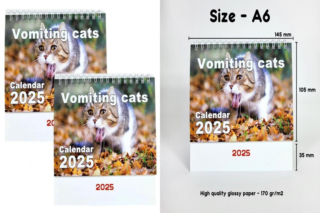 PEN| Cute Desktop Flip Calendar Cat Lover Calendar 2025 Vomiting Cat ...