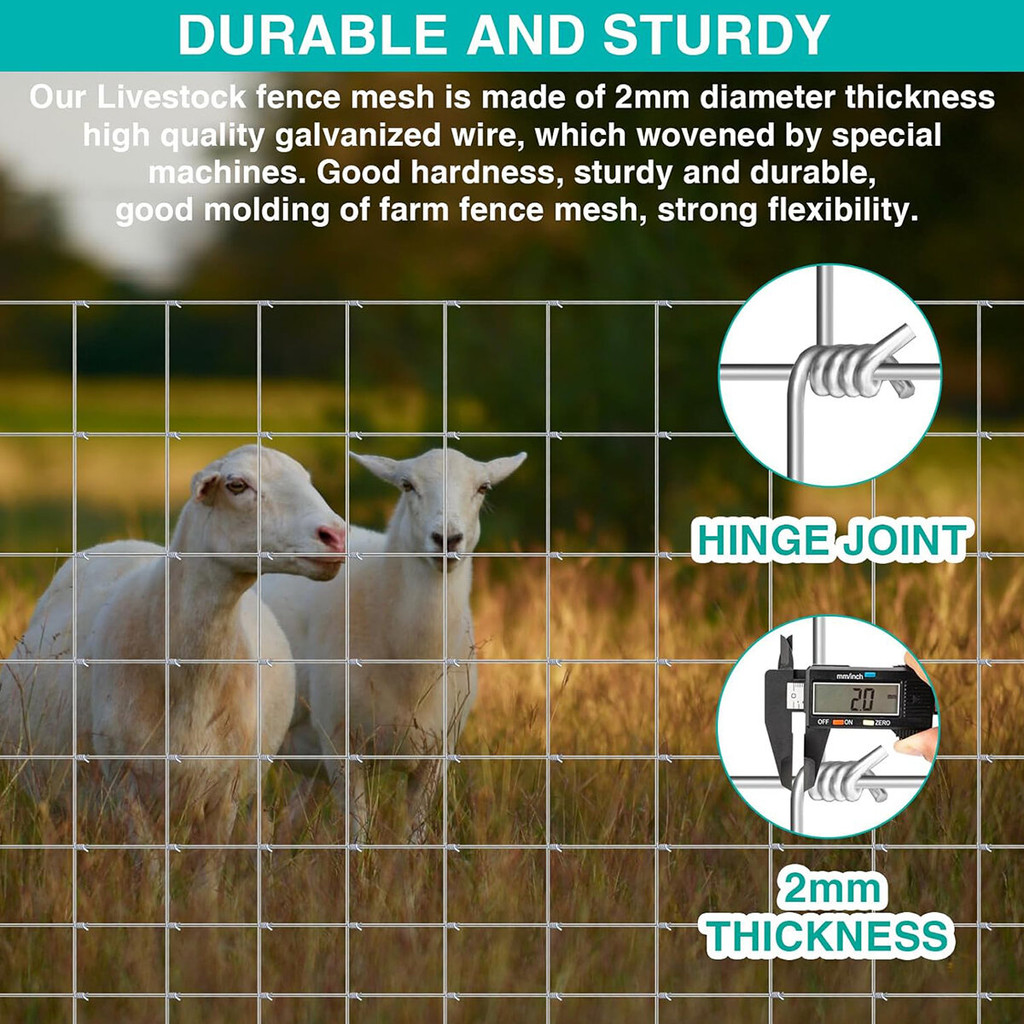 Pagar Cyclone Griplock 100meter 3/4/5/6Kaki Pagar Kambing Cyclone Fence ...