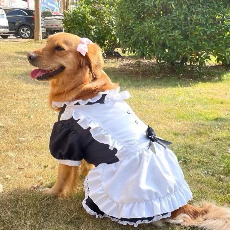 Pet Medium Large Dog Skirt Transformation Dress Maid Clothes Apron ...