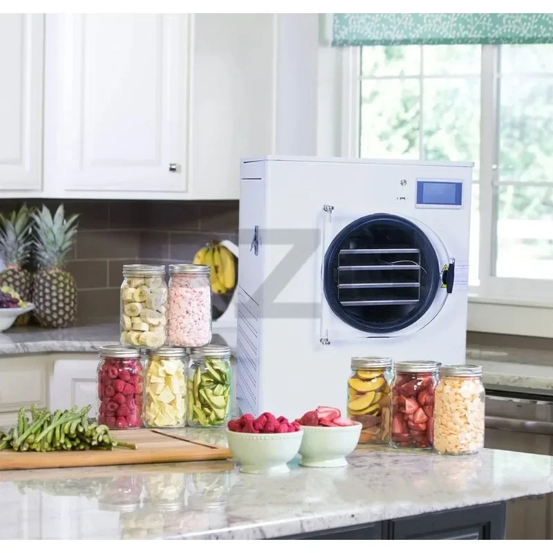 Vacuum Fruit Freeze Drying Dried Machines Mini Vegetables Lyophilizer ...