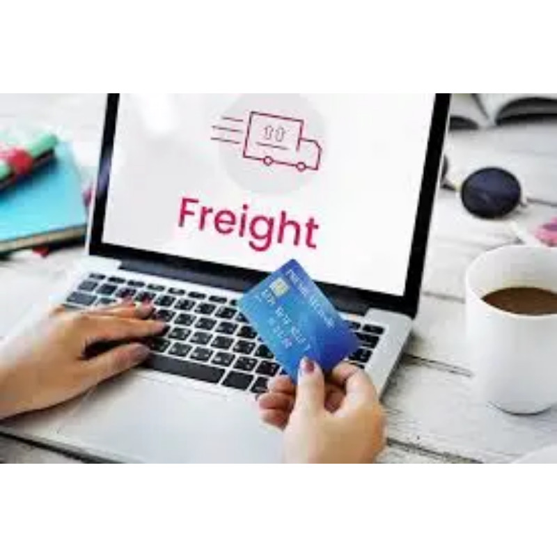 VIP Freight cost adjustment link for any order ,only for the extra ...