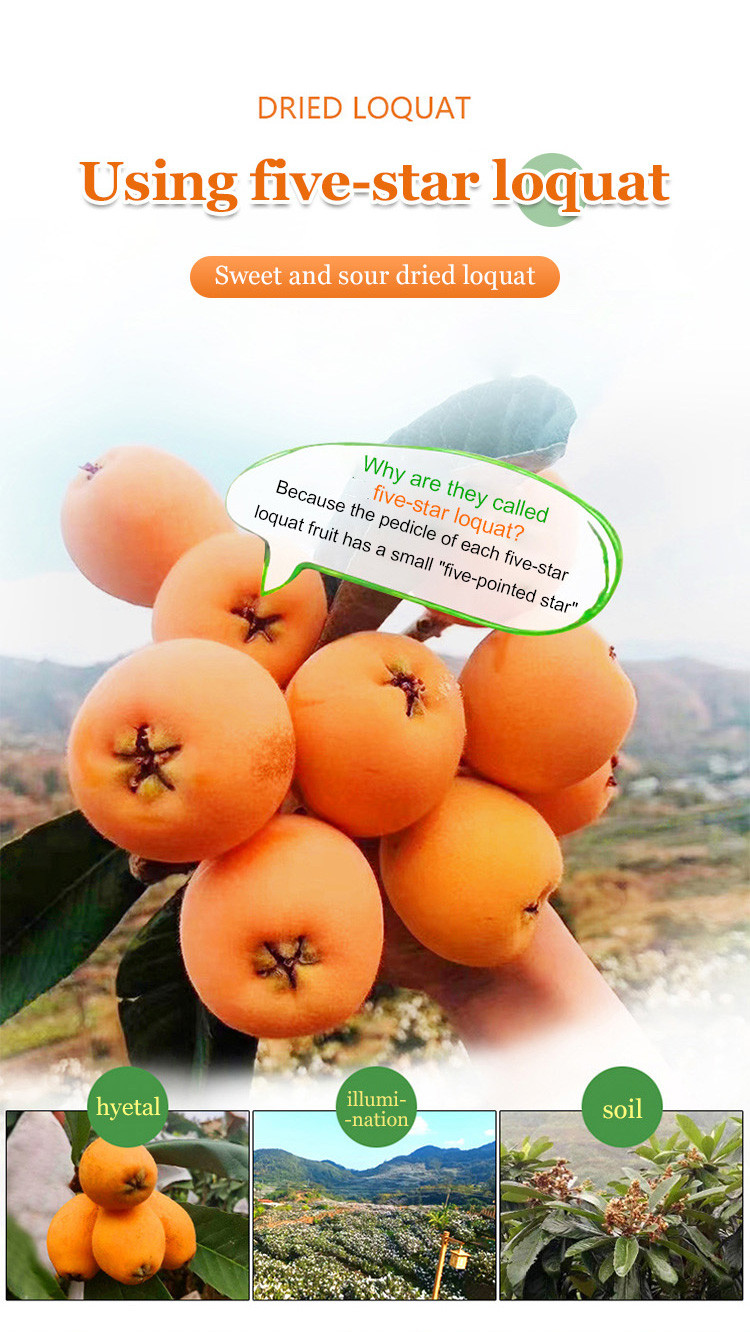 Coreless Bamboo Salt Loquat Dried Bulk Loquat Fruit Conserve | Shopee ...