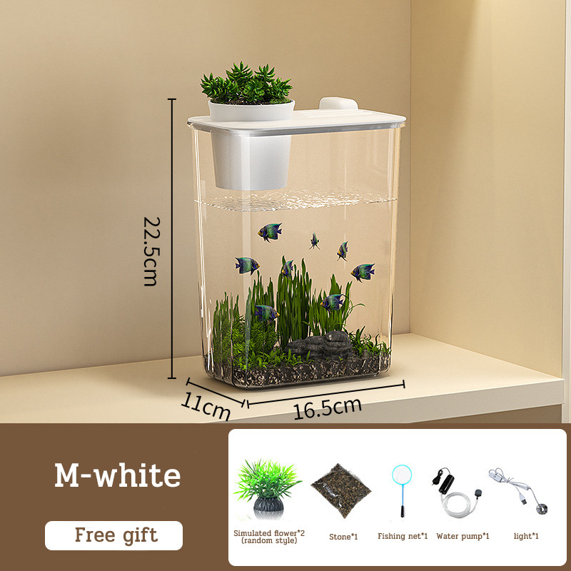 Fish Tank Ecological Aquarium Acrylic Material with Cover Transparent ...