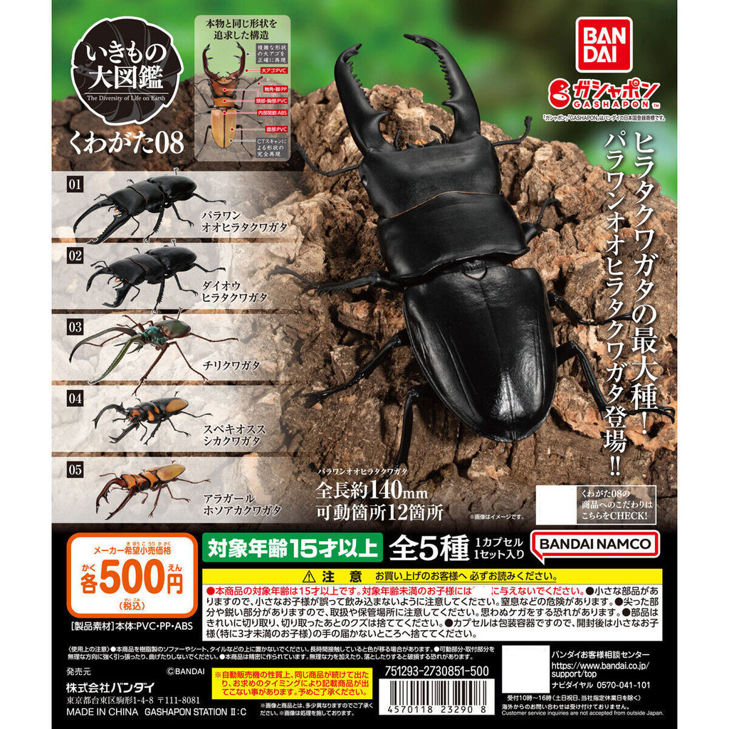 Bandai Capsule Toys Biological Big Illustrated Book Beetle 08 Stag ...