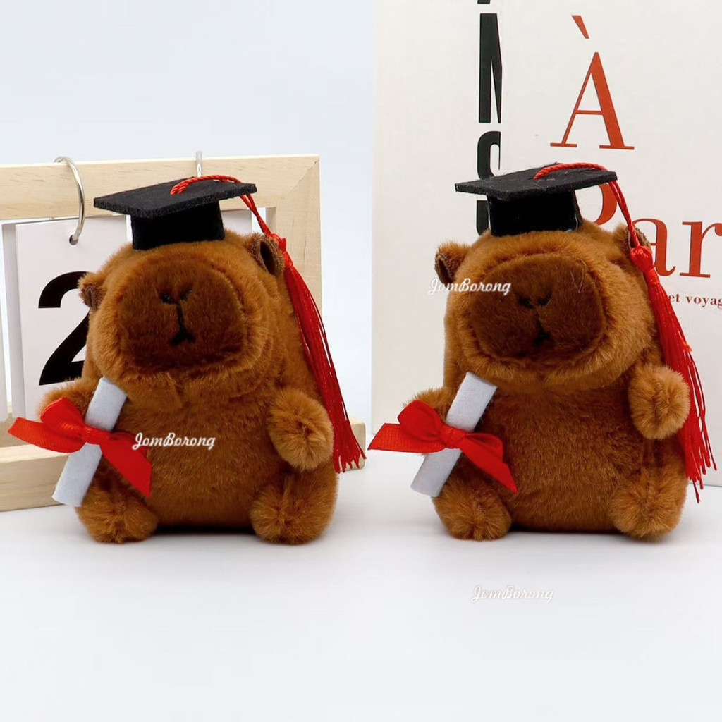 11cm CAPYBARA GRADUATION BEAR Plush Toy Cute Capibara Plushie Toy Anak ...