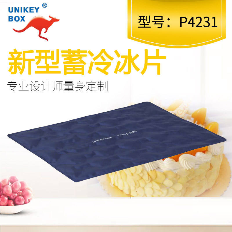 HOT!! Ice Packs, Ice Packs, Cold Plates, Ice Sheets, Reusable ...
