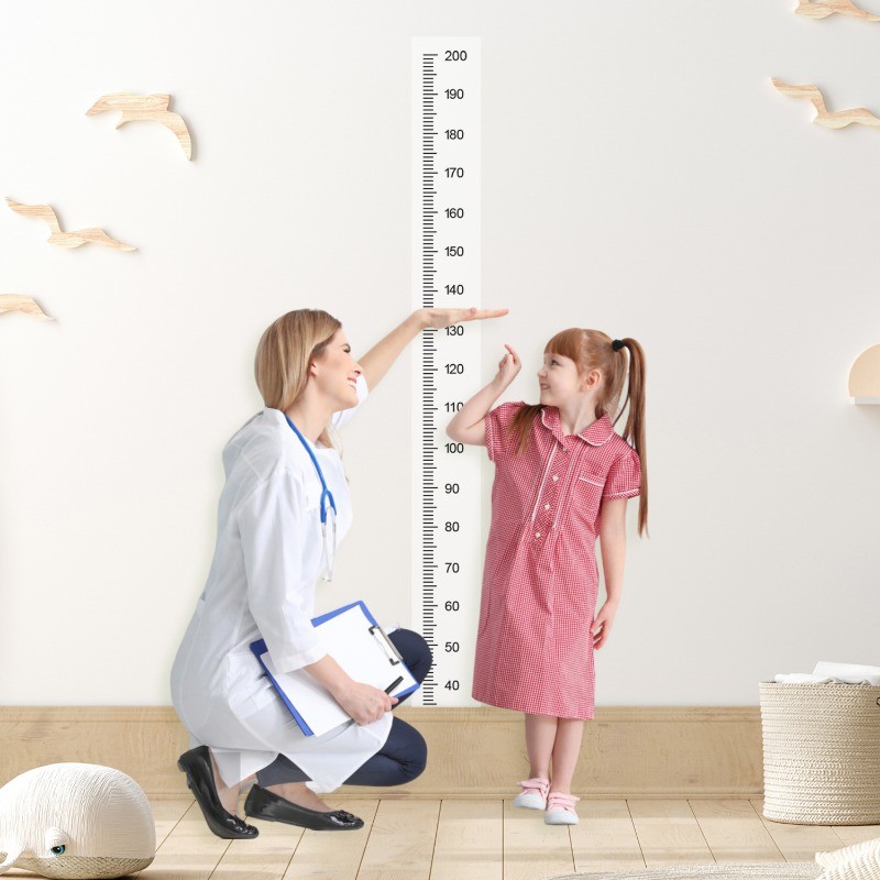Convenient Practical Detachable Writable Wall Ruler Paster- Exquisite ...