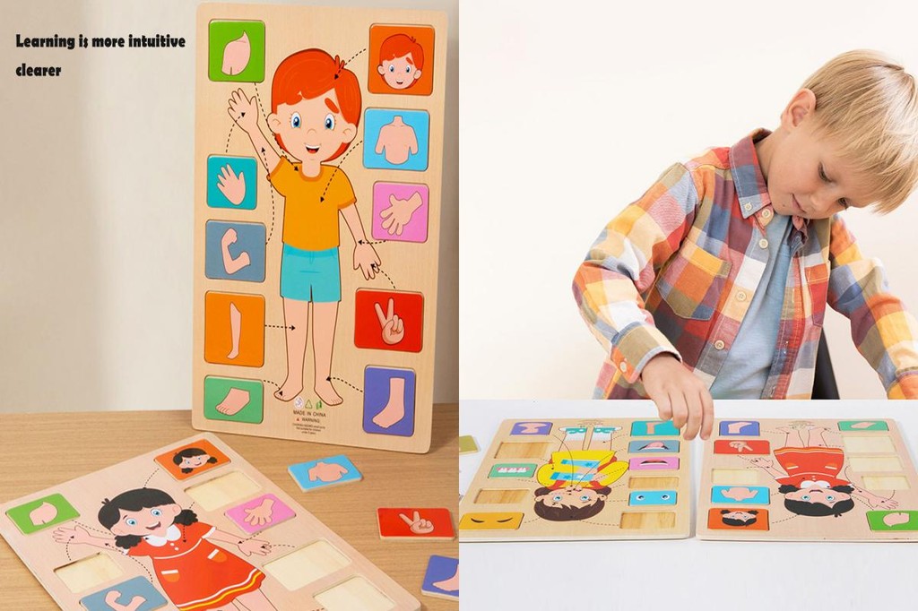 ccooamani| Educational Anatomy Puzzle Wooden Body Puzzle Wooden Body ...