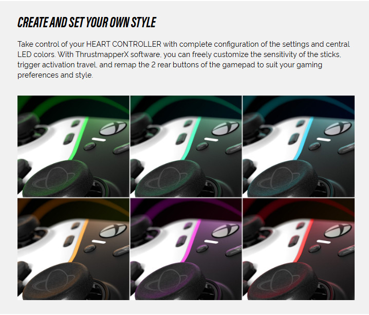 Thrustmaster Heart Controller (PC, Xbox One, Xbox Series XIS) - 4460237 ...