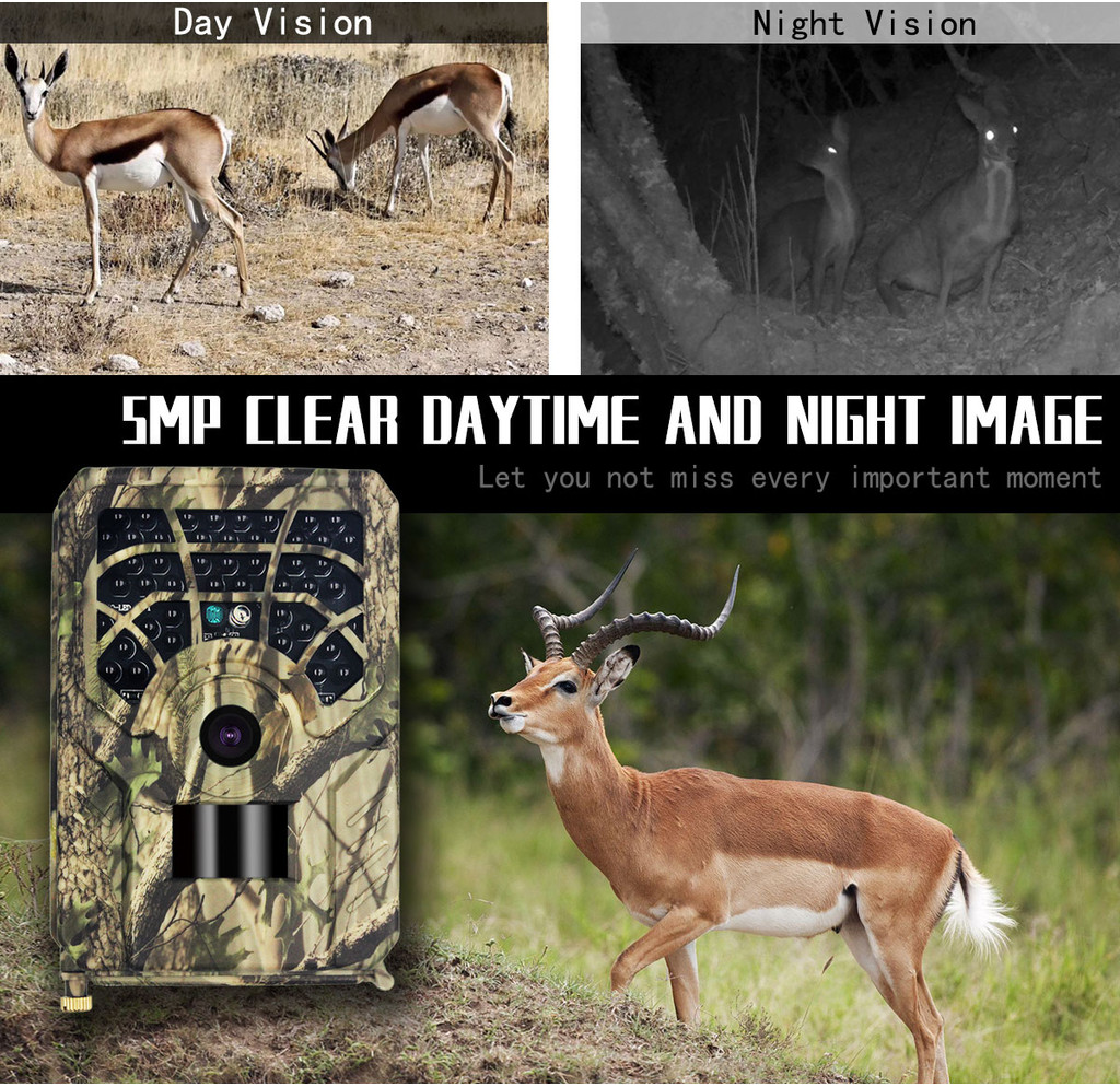 Wildkamera Trap Hunt Trail Cam Caza Camera De Chasse Wild Life 1080P ...