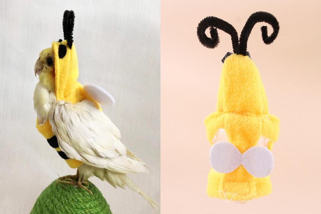 ongong Bird Costume for Dressing Up Bird Clothes Costume Colorful Bee ...