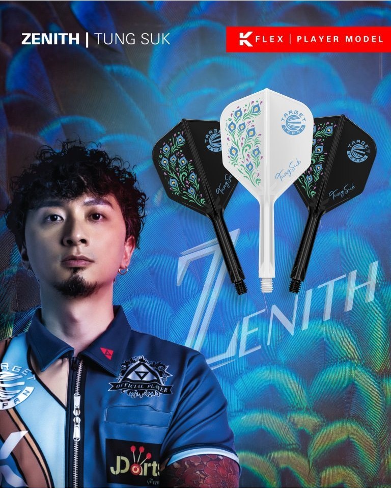 TARGET K-FLEX ZENITH (Tung Suk Model) 【 No.6 Shape 】Hard Material Darts ...