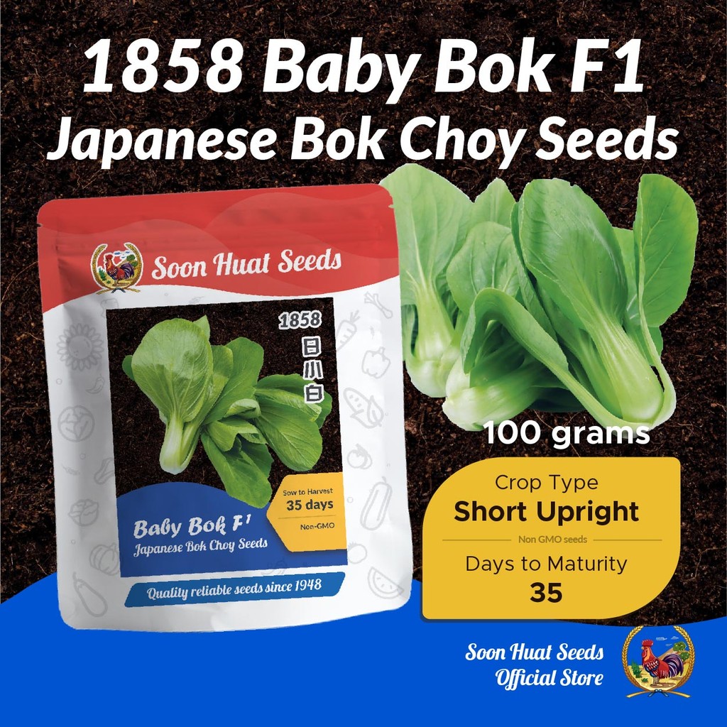 [100g] 1858 Benih Bok Choy Jepun Soon Huat Seeds | Shopee Malaysia