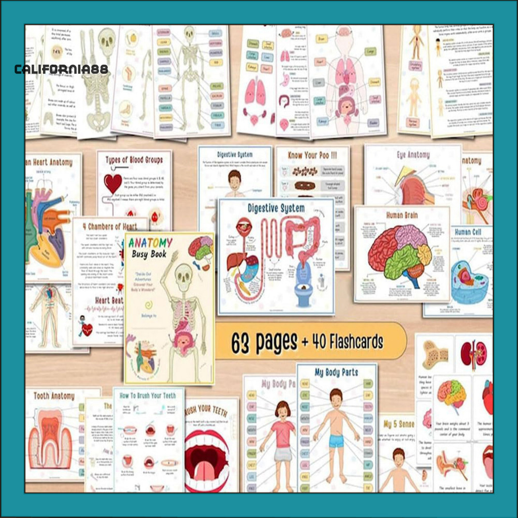 [CF] Interactive Human Anatomy Book Portable Human Body Book ...