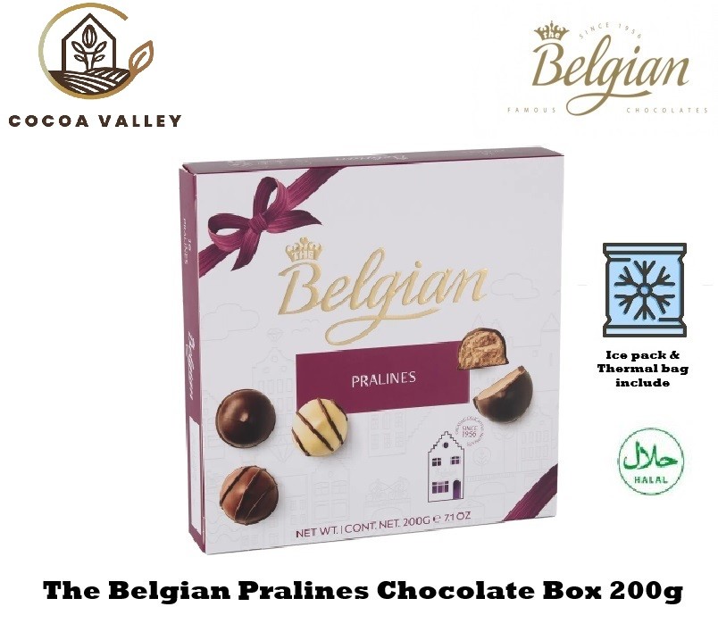 Belgian 16 Pralines Chocolate Box 200g(ICE PACK INCLUDED) | Shopee Malaysia