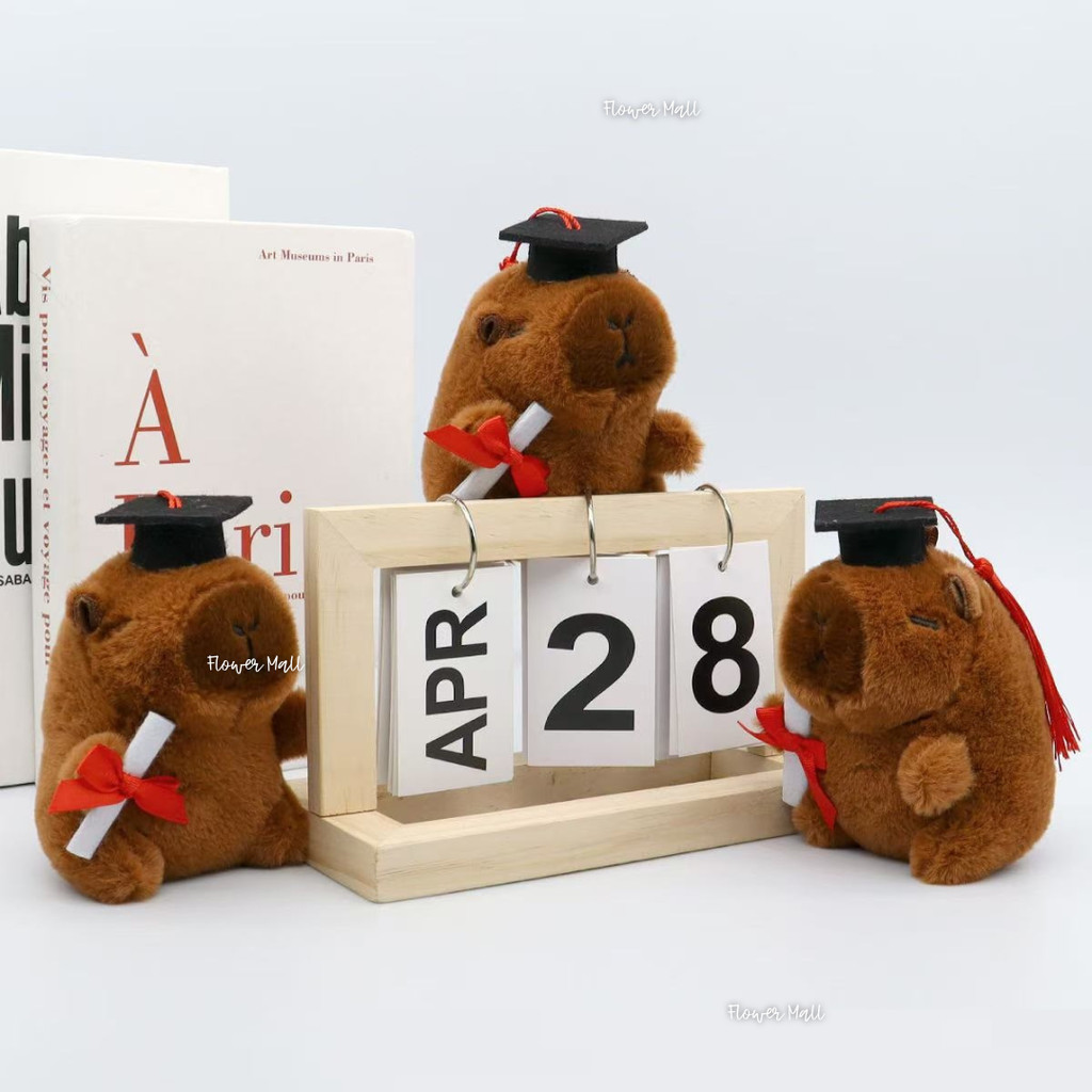 11cm CAPYBARA GRADUATION BEAR Plush Toy Cute Capibara Plushie Toy Anak ...