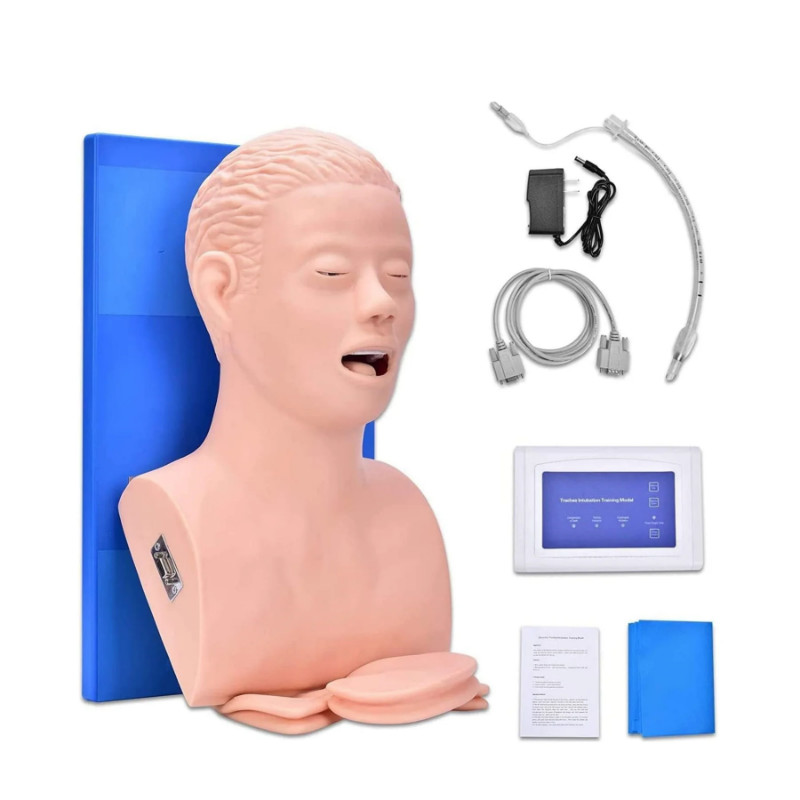 Human Body Adult Intubation Manikin Teaching Model 110-220V Electronic ...